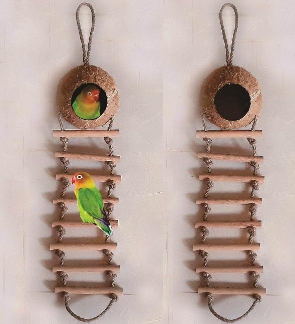 COCONUT SHELL BIRD NEST - Coconut Product