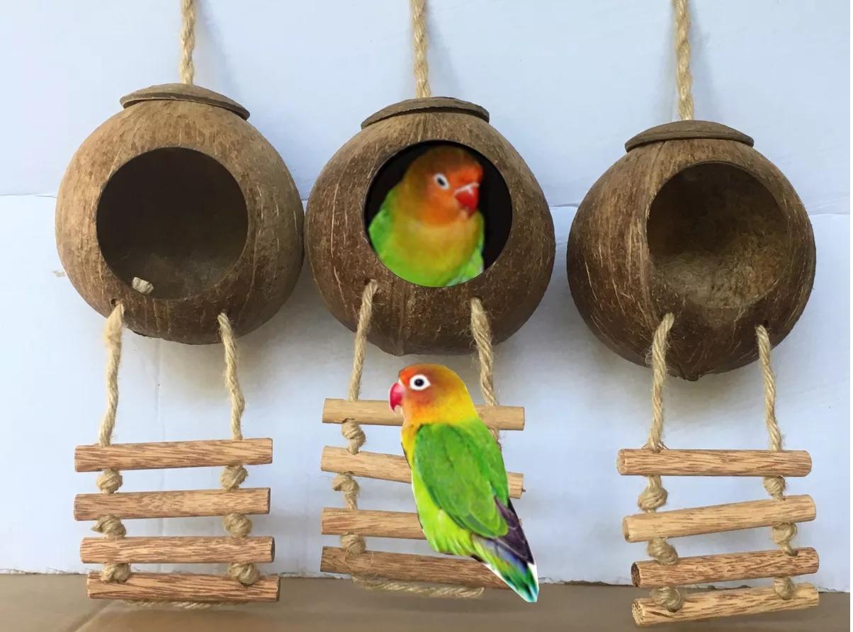 COCONUT SHELL BIRD NEST - Coconut Product